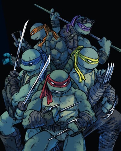 Jennika: The First Female Ninja Turtle - Overstreet Access